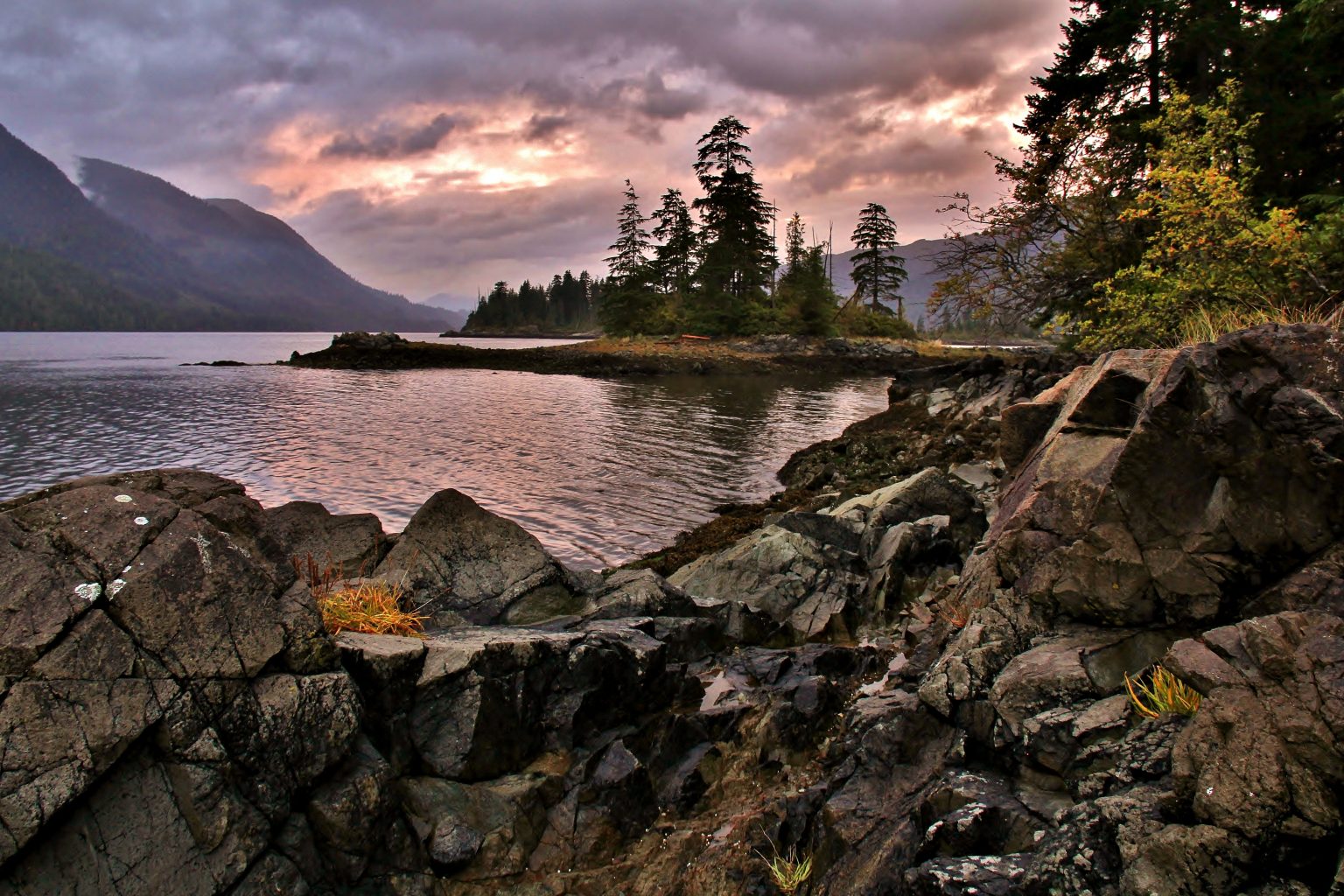 FP Foods, Deli & Grill - VINT