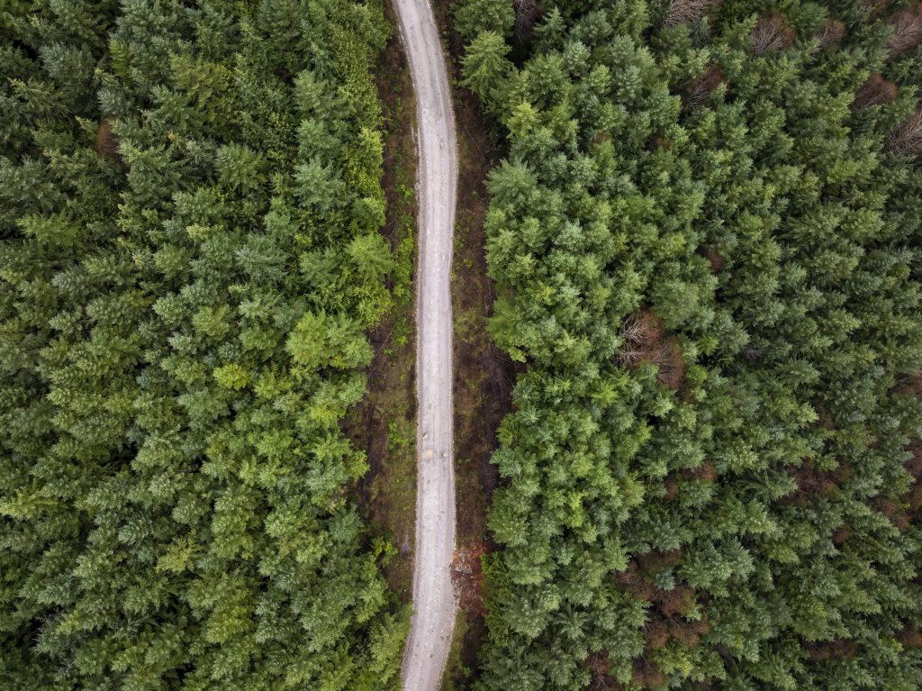 Cape Scott Adventures: A Road Less Traveled - VINT